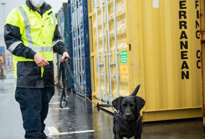 Border - Te Kawa Mataaho Public Service Commission