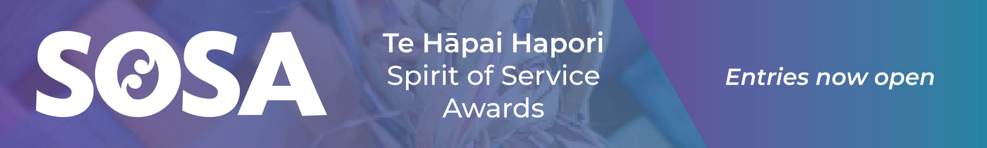 Spirit of Service Awards - Te Kawa Mataaho Public Service Commission