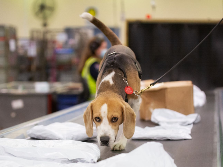 The New Zealand Public Service - Te Kawa Mataaho Public Service Commission