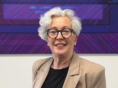 The New Zealand Public Service - Te Kawa Mataaho Public Service Commission